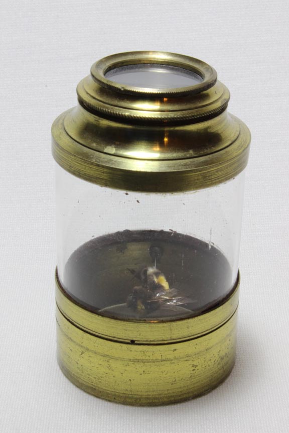 LACQUERED BRASS INSECT MICROSCOPE OR INSECTOSCOPE