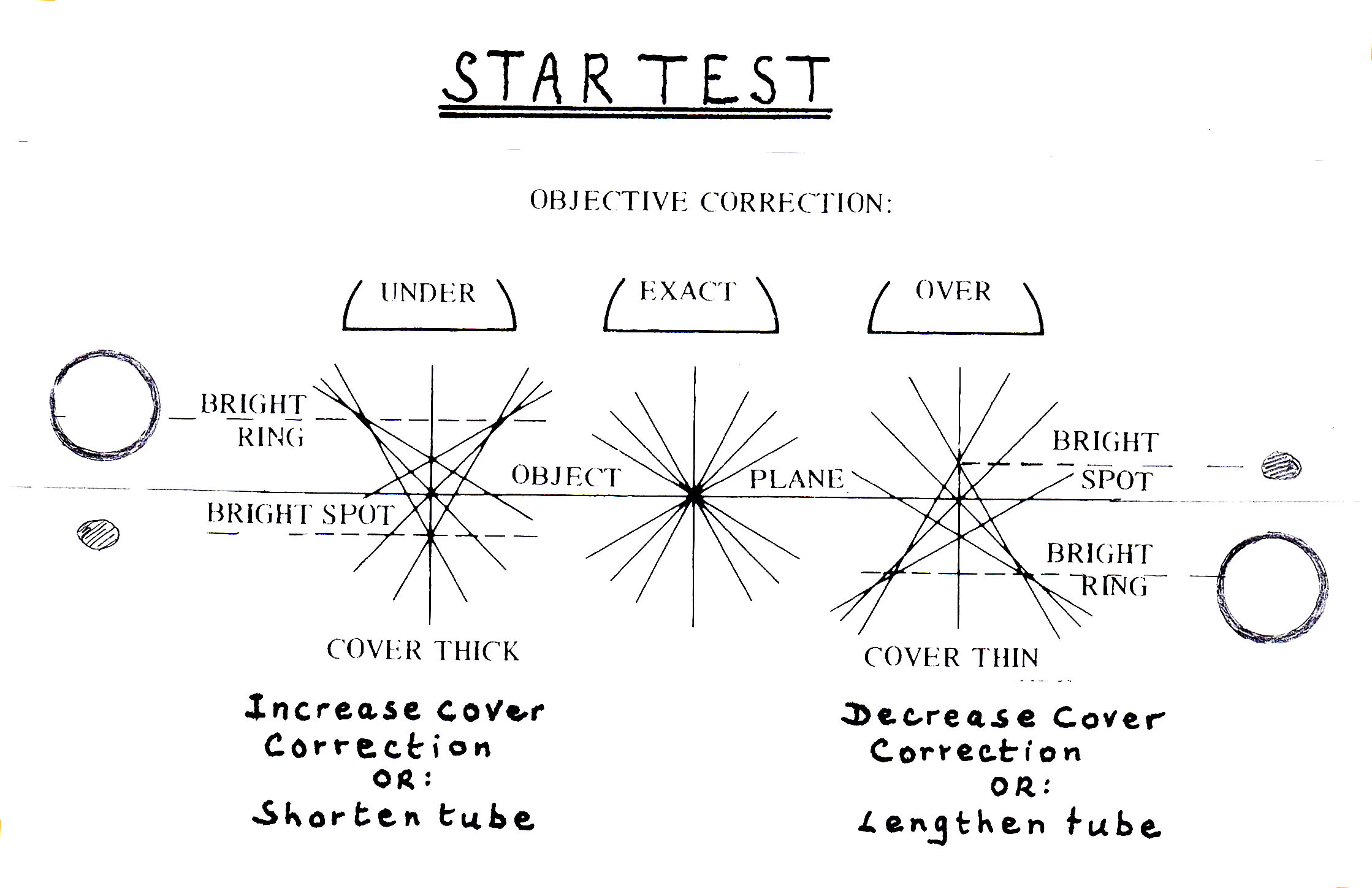 Star Test Star Test